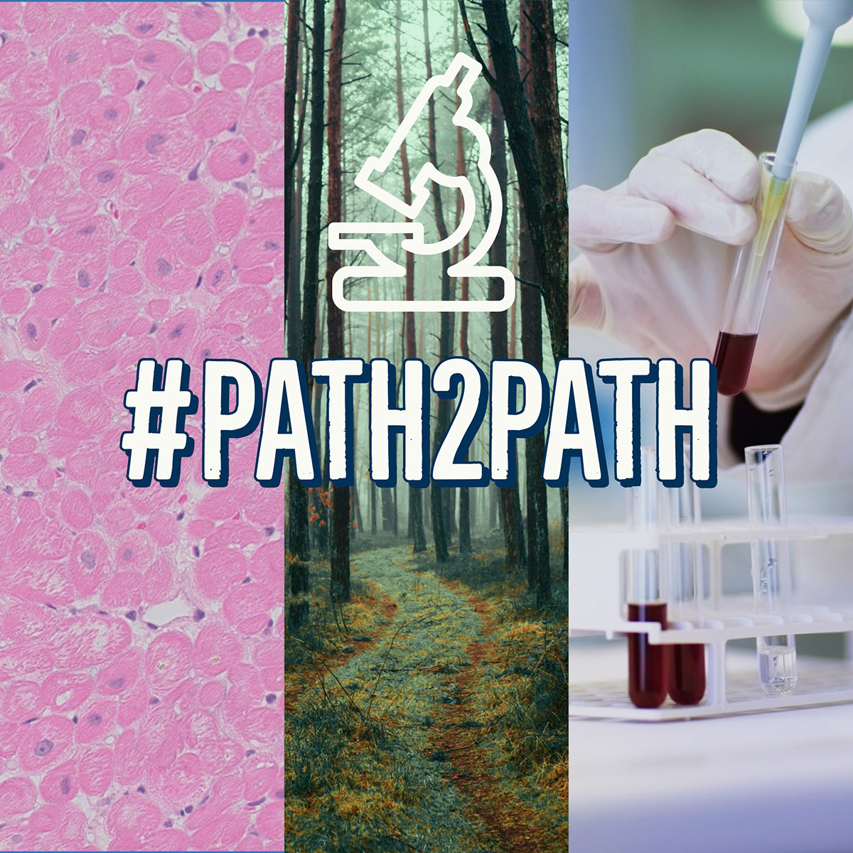 PATHOLOGY MATCH 2024 – Path2Path